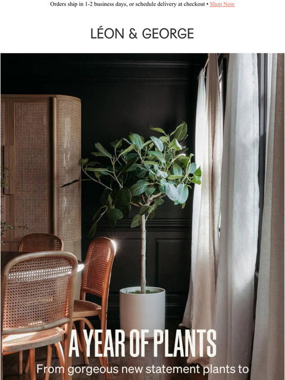 Leon & George: 5 Plant Trends of 2022 🌱👀 | Milled