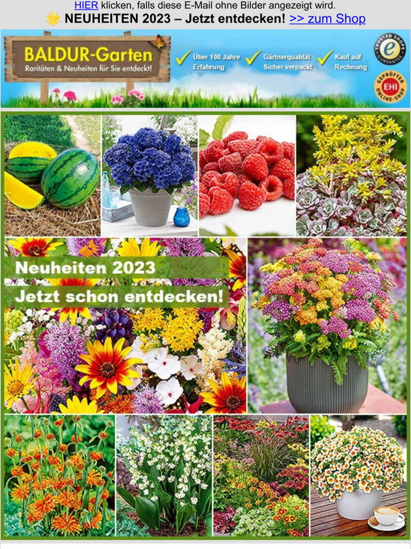 BALDUR-Garten: 🌟 NEUHEITEN 2023 – Jetzt entdecken! | Milled