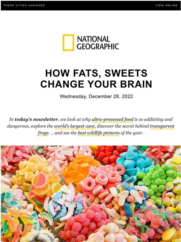 National Geographic: Your brain on fats and sweets | Milled