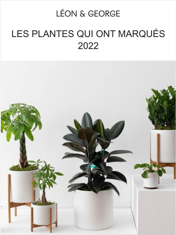 Leon & George: Les coups de coeur 2022 ️- les plantes incontournables ...