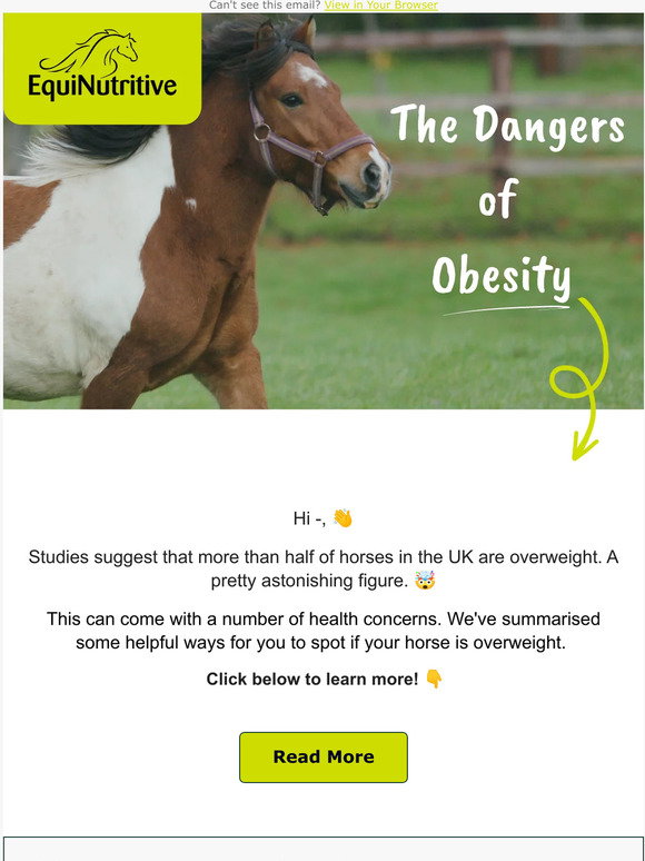 Equinutritive: How To Spot If Your Horse Is Overweight | Milled