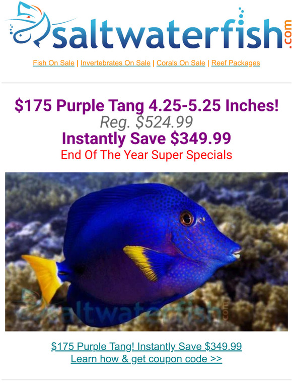 Salt Water Fish: 🐠🎆 Save $349 Purple Tang WOW! End Of The Year Super ...