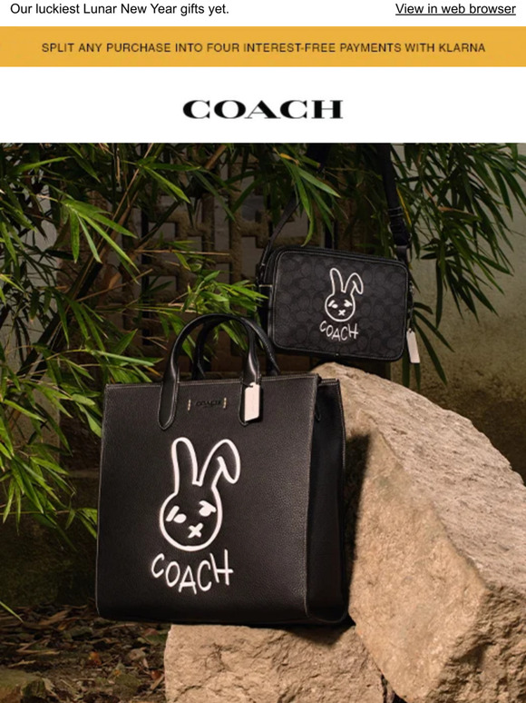 Coach: The Year of the Rabbit is arriving. Time to celebrate. | Milled