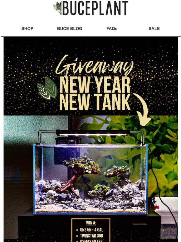 Buce Plant: Win your 2023 setup 🥳 Tank, light, & filter included! | Milled