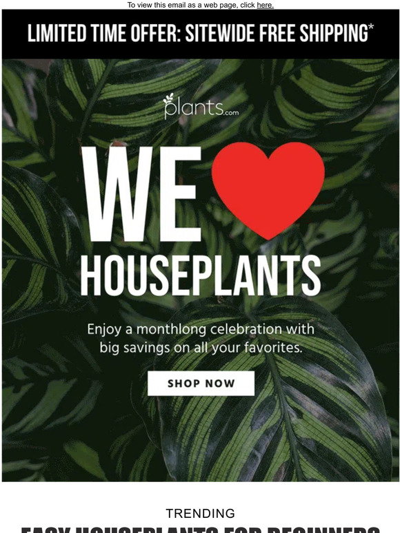 Plants.com: National Houseplant Appreciation Day is Coming Up! 🎉 | Milled