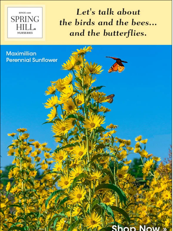 Spring Hill Nursery: Why it’s best to be pollinator friendly. | Milled