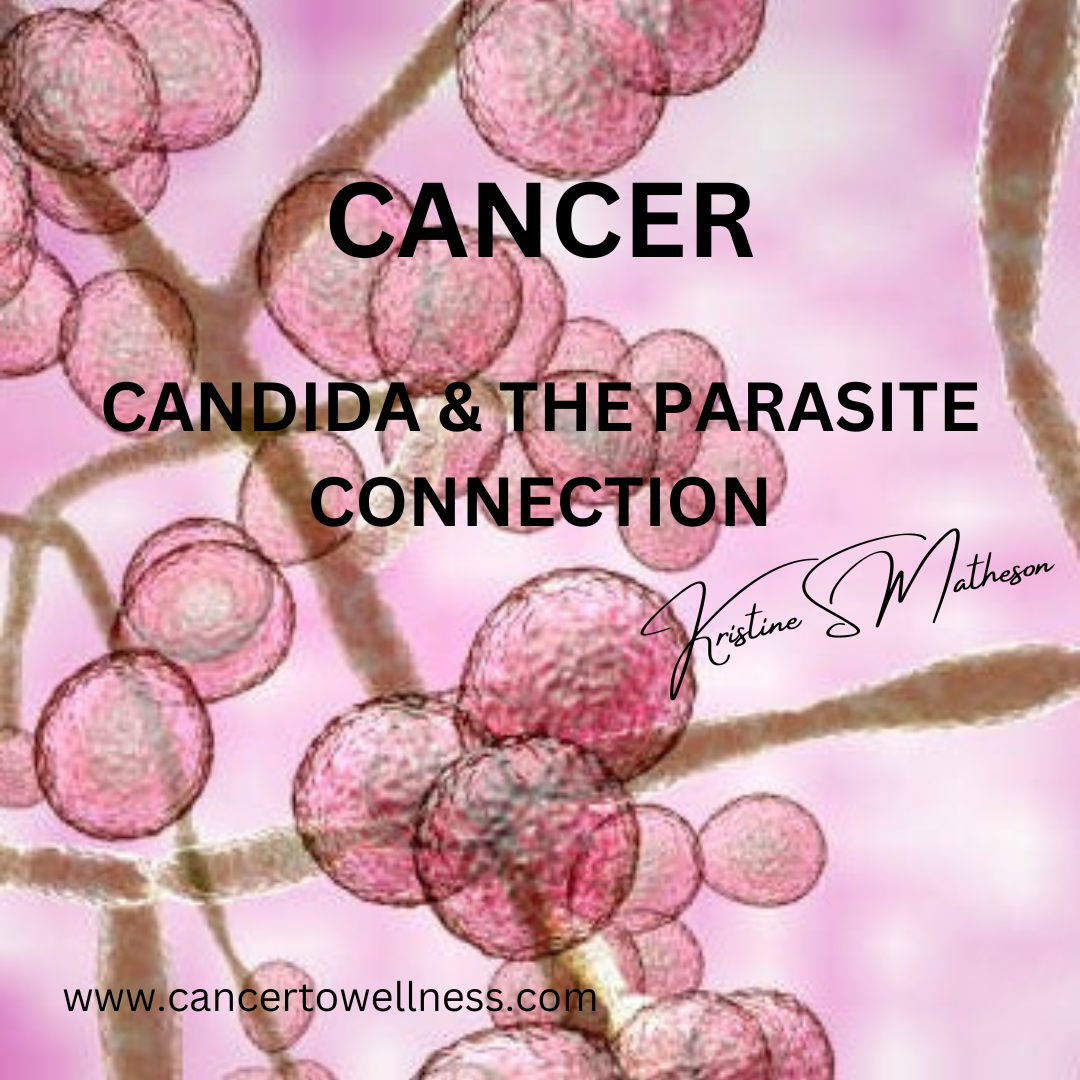 Cancer To Wellness: Cancer - Candida and the Parasite Connection | Milled