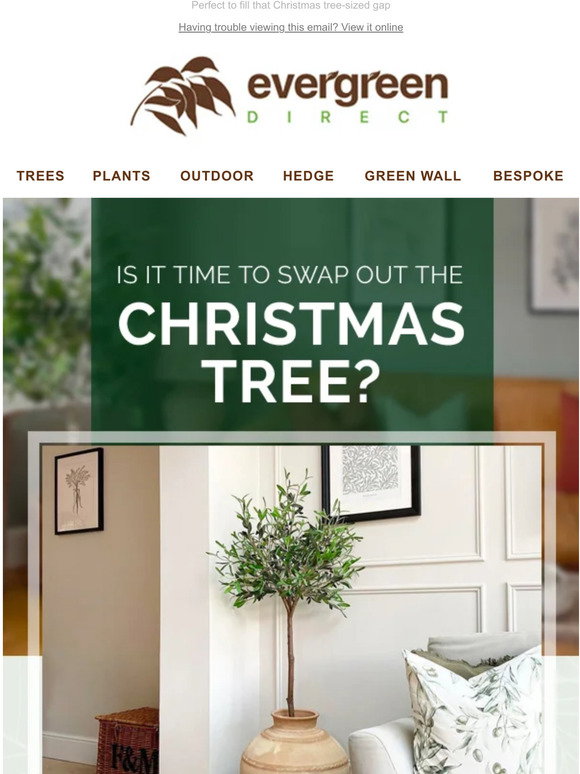 Evergreen Direct: What to replace your Christmas tree with... | Milled