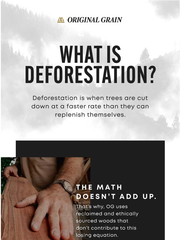 Original Grain: How to help prevent deforestation 🌲 | Milled