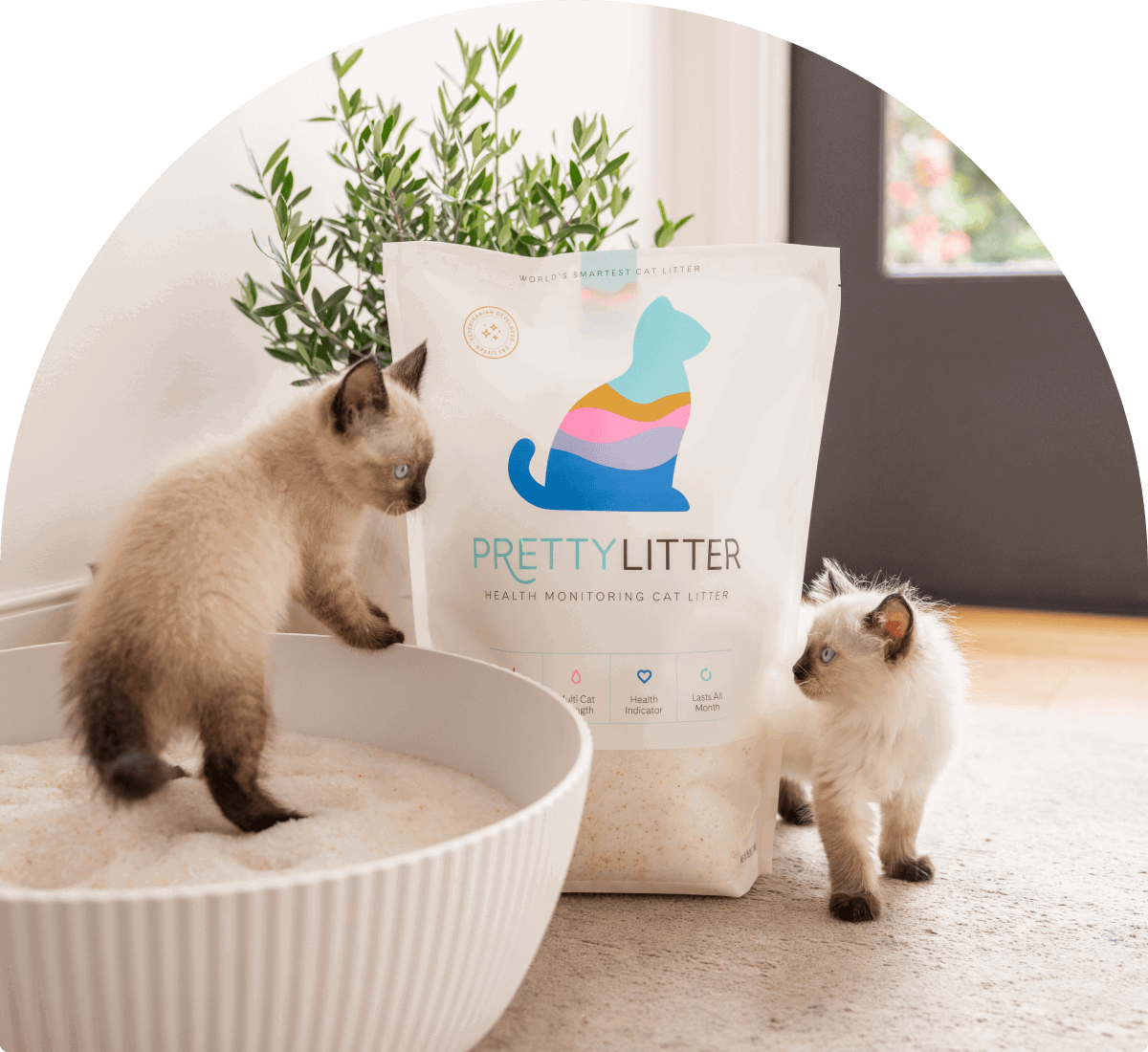 Pretty Litter: Our Mew Year’s Resolution? Saving On Cat Care | Milled