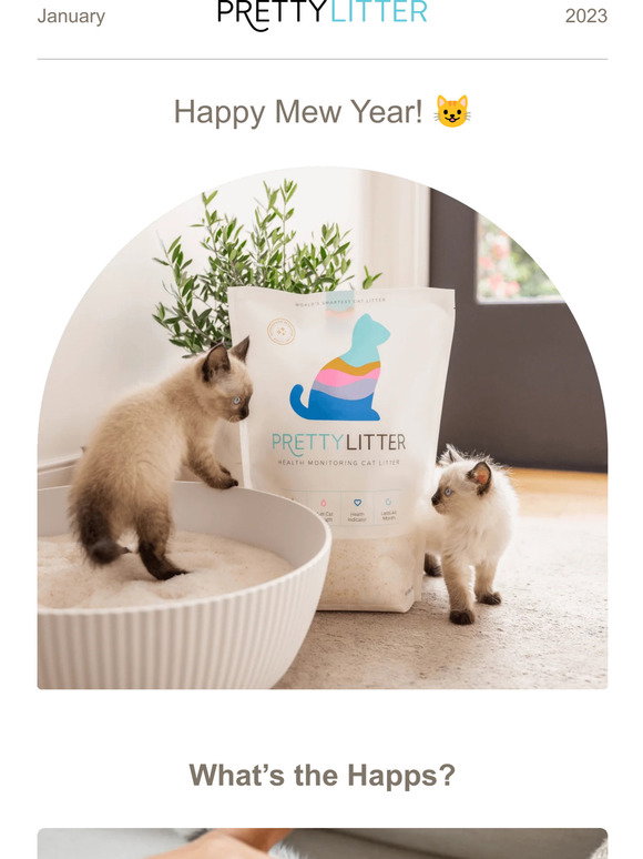 Pretty Litter: Our Mew Year’s Resolution? Saving On Cat Care | Milled