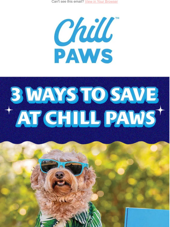 Chill Paws: 3 ways to save money at Chill Paws💸 | Milled
