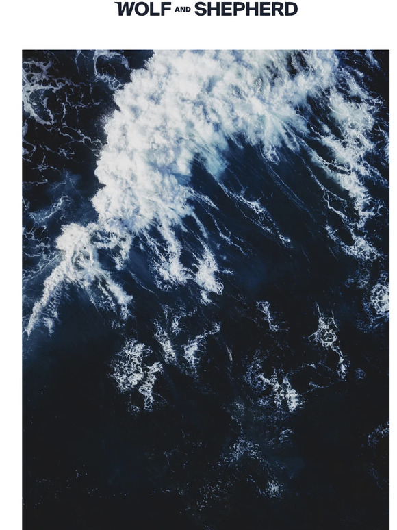 Wolf & Shepherd: New Beginnings | Milled