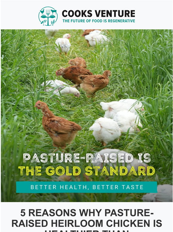 Cooks Venture: 5 Health Benefits of Pasture-Raised 🐔 | Milled