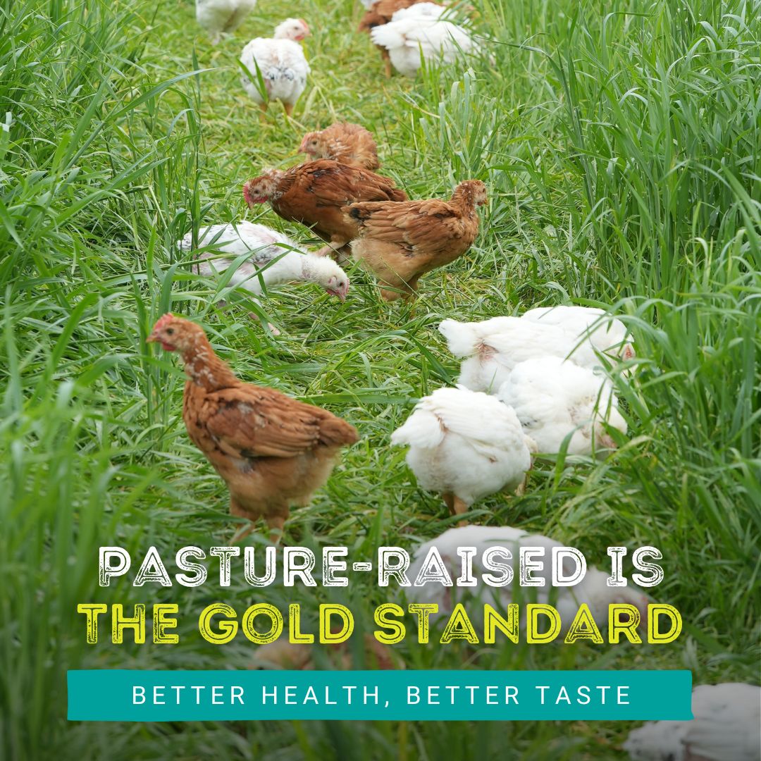 Cooks Venture: 5 Health Benefits of Pasture-Raised 🐔 | Milled