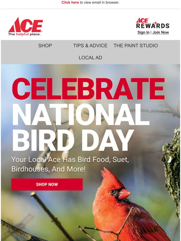 Ace Hardware: 🐦 Hot Deals for National Bird Day! | Milled