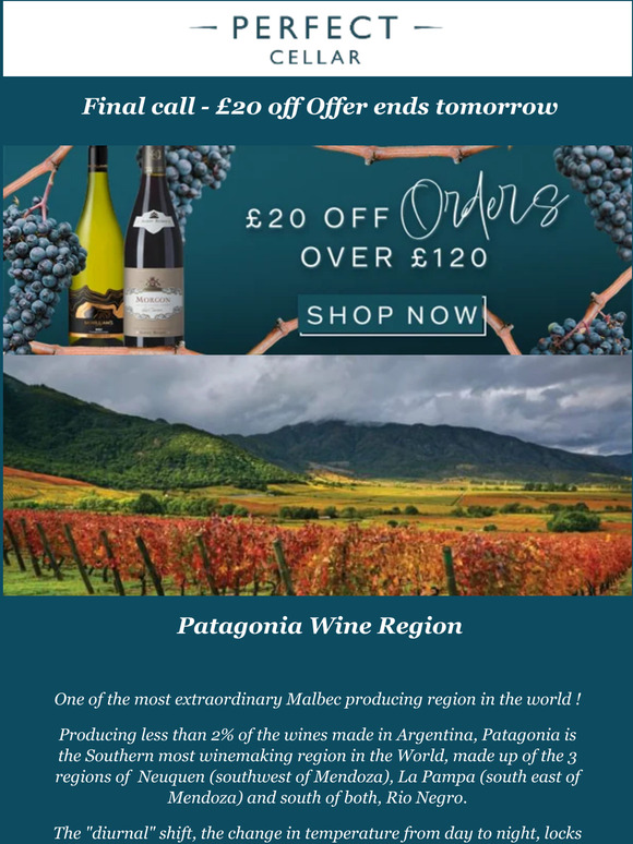 Perfect Cellar: Must try 90 Point Patagonian Malbec - 25% OFF RRP | Milled