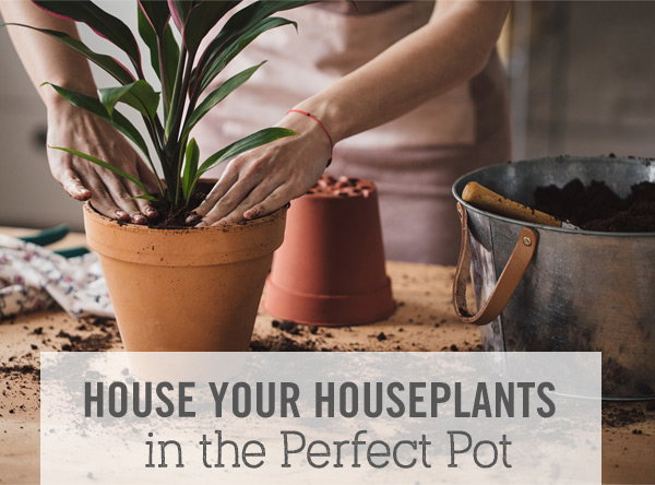 Gardener's Supply Company: Picking the Perfect Pot for your Houseplants ...