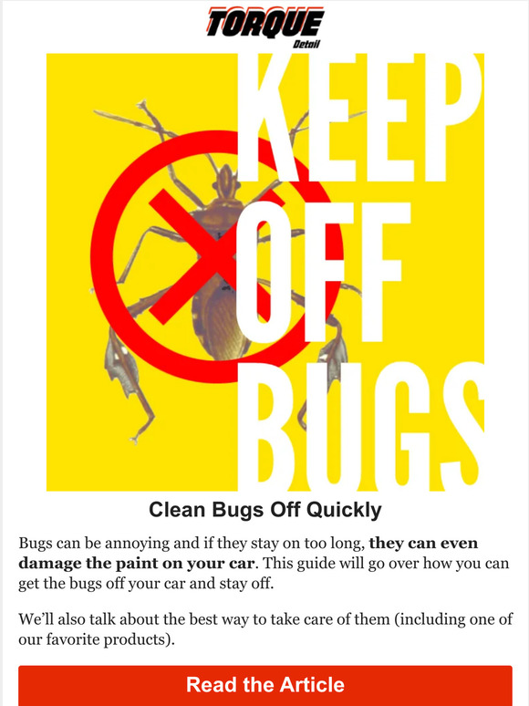 Torque Detail: How To Cleans Bugs Off Your Car Quickly! | Milled