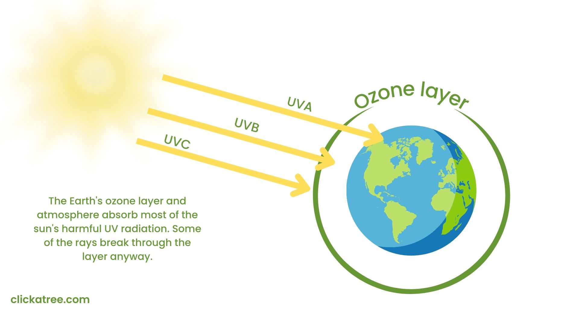 Click A Tree: Check this out: Our goals for 2023, the rarest tree in ...