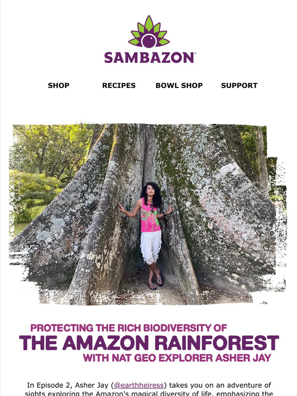 SAMBAZON: How Sambazon is Committed to Protecting the Amazon 🌿 | Milled