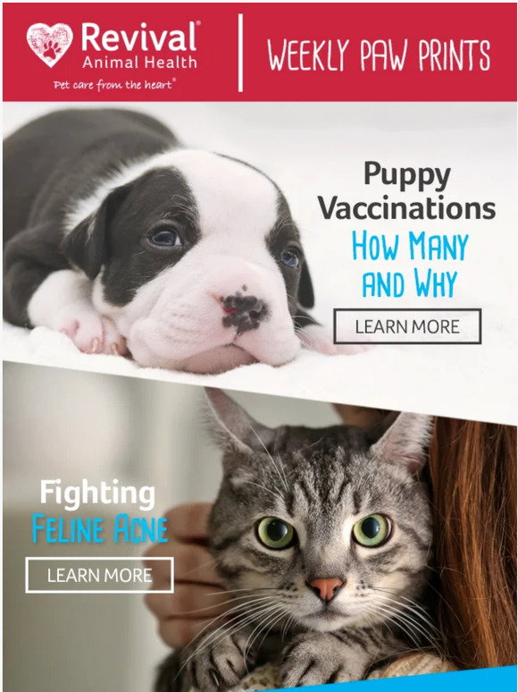 Revival Animal Health: Why Your Pup Needs This Schedule | Milled