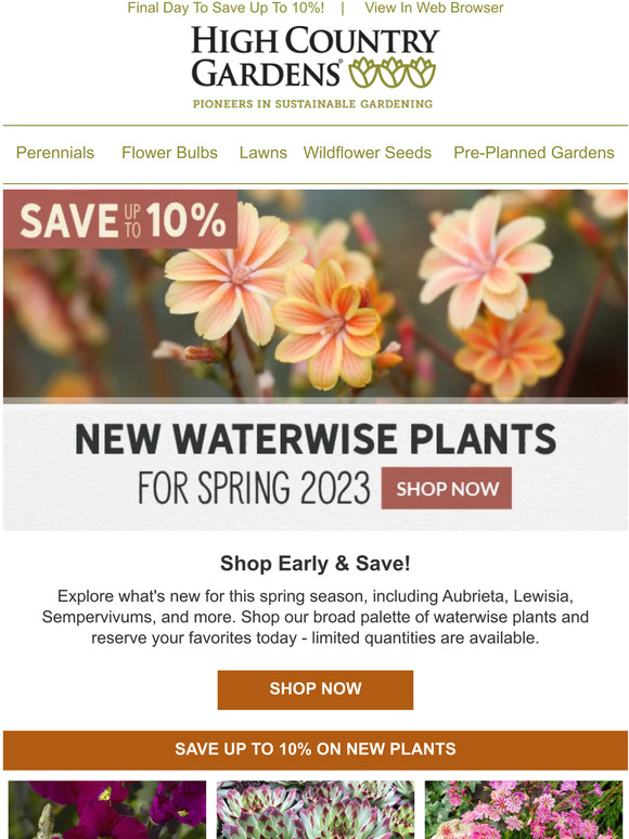 High Country Gardens: Explore New Waterwise Plants For Spring 2023 | Milled