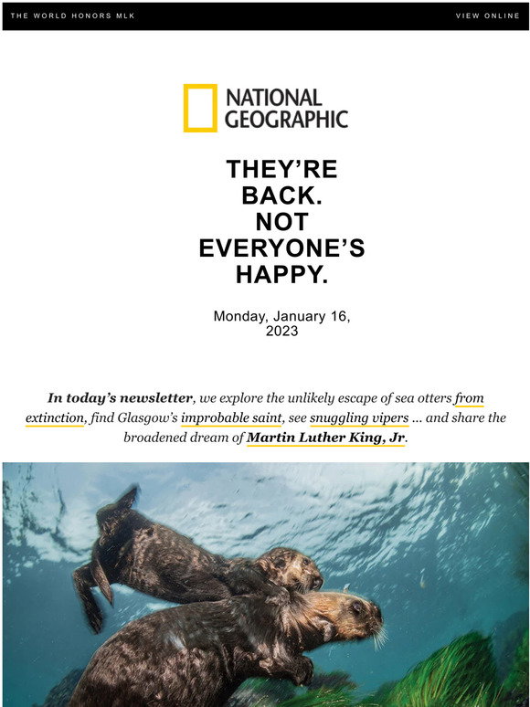 National Geographic: How 'cute' sea otters escaped extinction | Milled