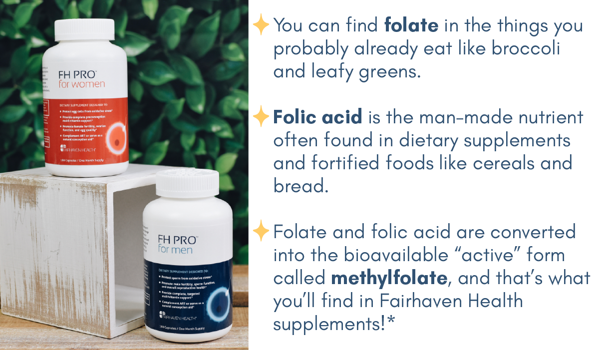 Fairhaven Health: Educational Spotlight 💡 Folic Acid vs. Folate | Milled