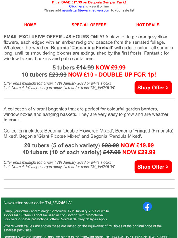 Van Meuwen: Cascading Begonia Fireball - Double for 1p more! | Milled