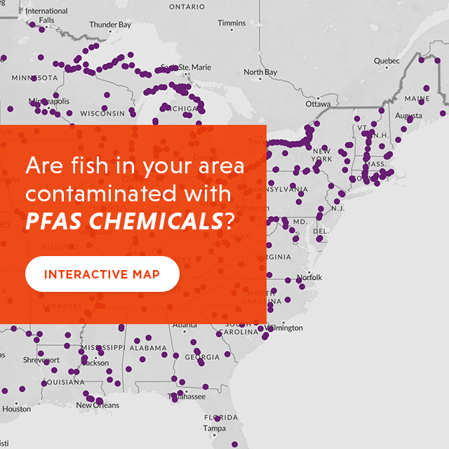 Environmental Working Group: NEW: Interactive map of PFAS in fish | Milled