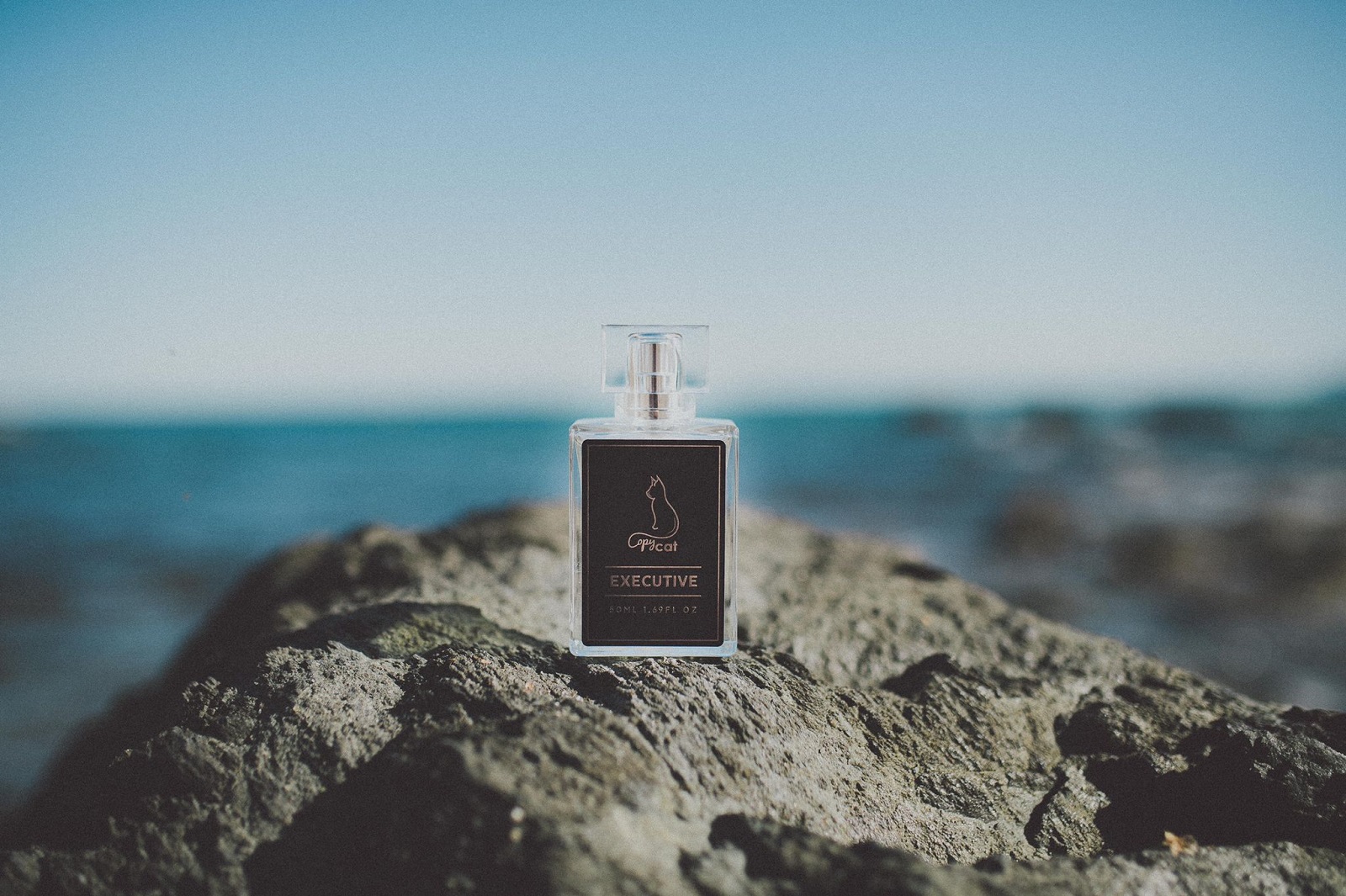 Copycat Fragrances: What is the most popular men's fragrance and why ...