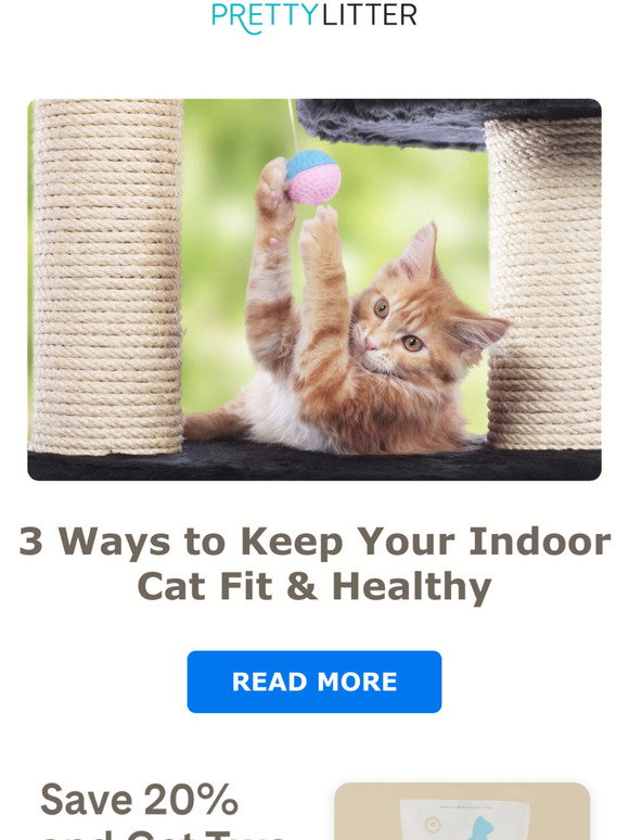 Pretty Litter: Improve Your Cat’s Wellbeing In 3 Steps | Milled