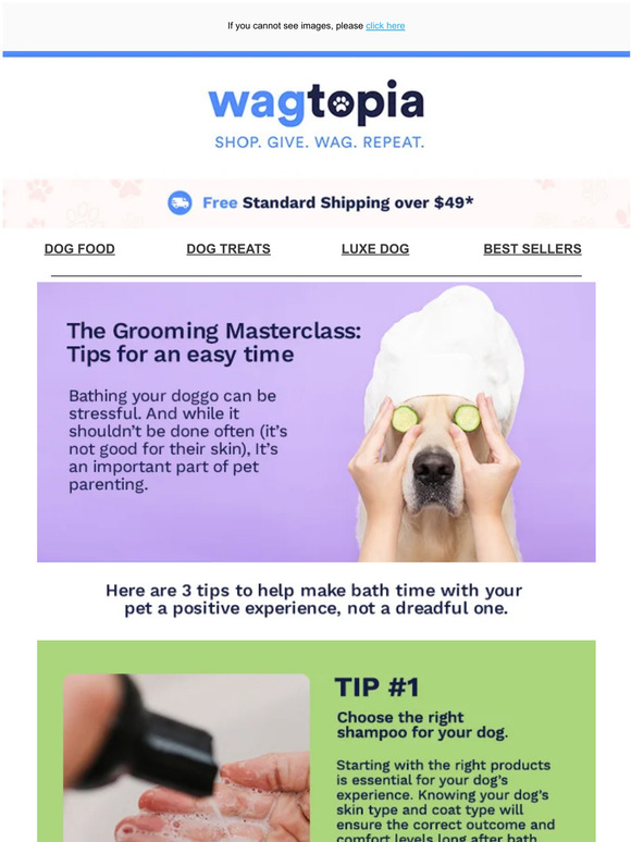 Wagtopia: [TIPSHEET] How to Give Your Doggo a Bath | Milled