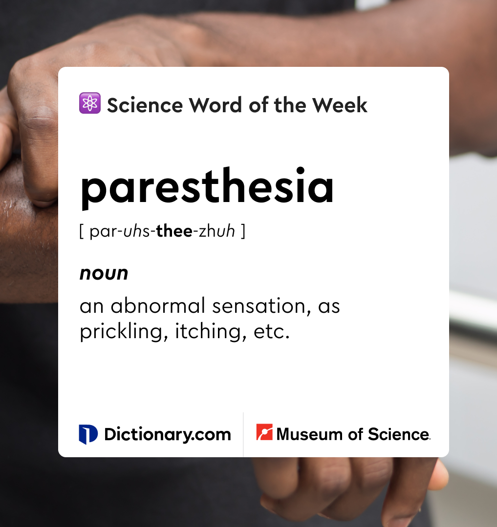 Dictionary.com: paresthesia | Science Word Of The Week | Milled