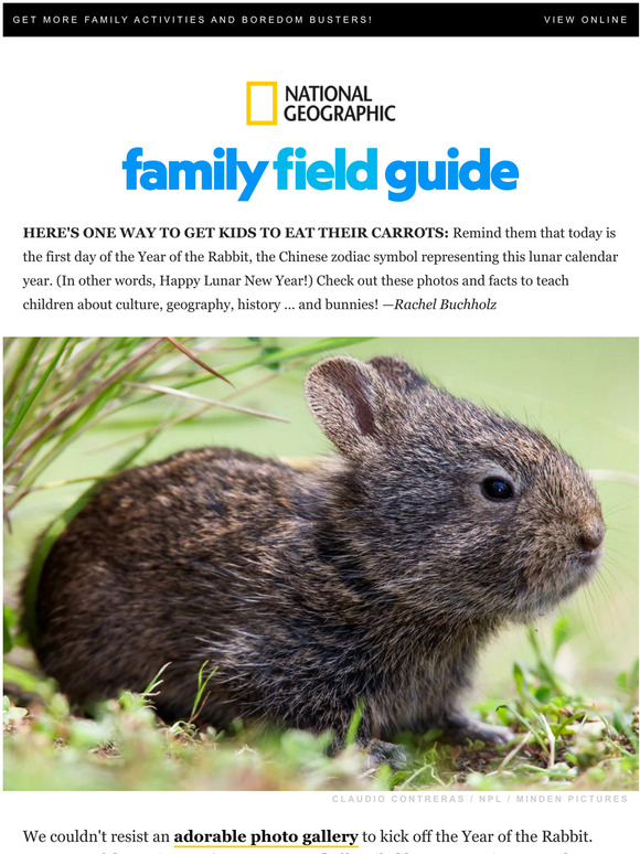 National Geographic: Happy Year of the Rabbit—here are cute bunny ...