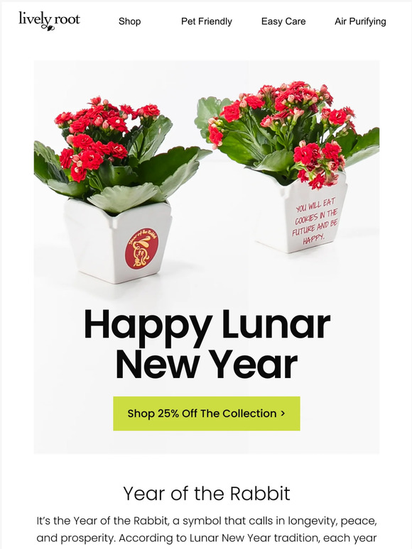 Lively Root: 🧨 Limited Edition Lunar New Year Pots - Don't Miss Out ...
