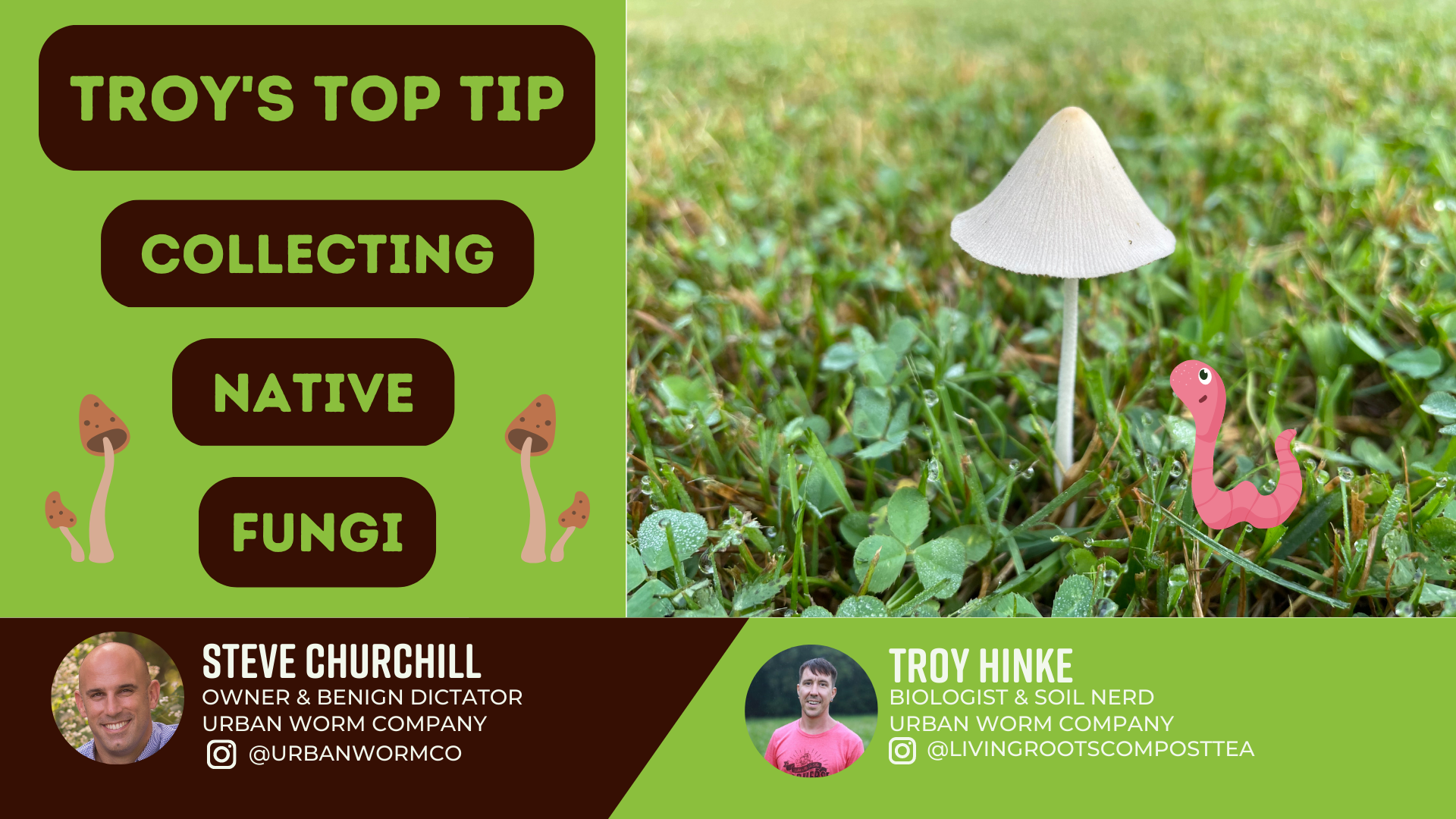 Urban Worm Bag: Troy's Top Tip | Milled