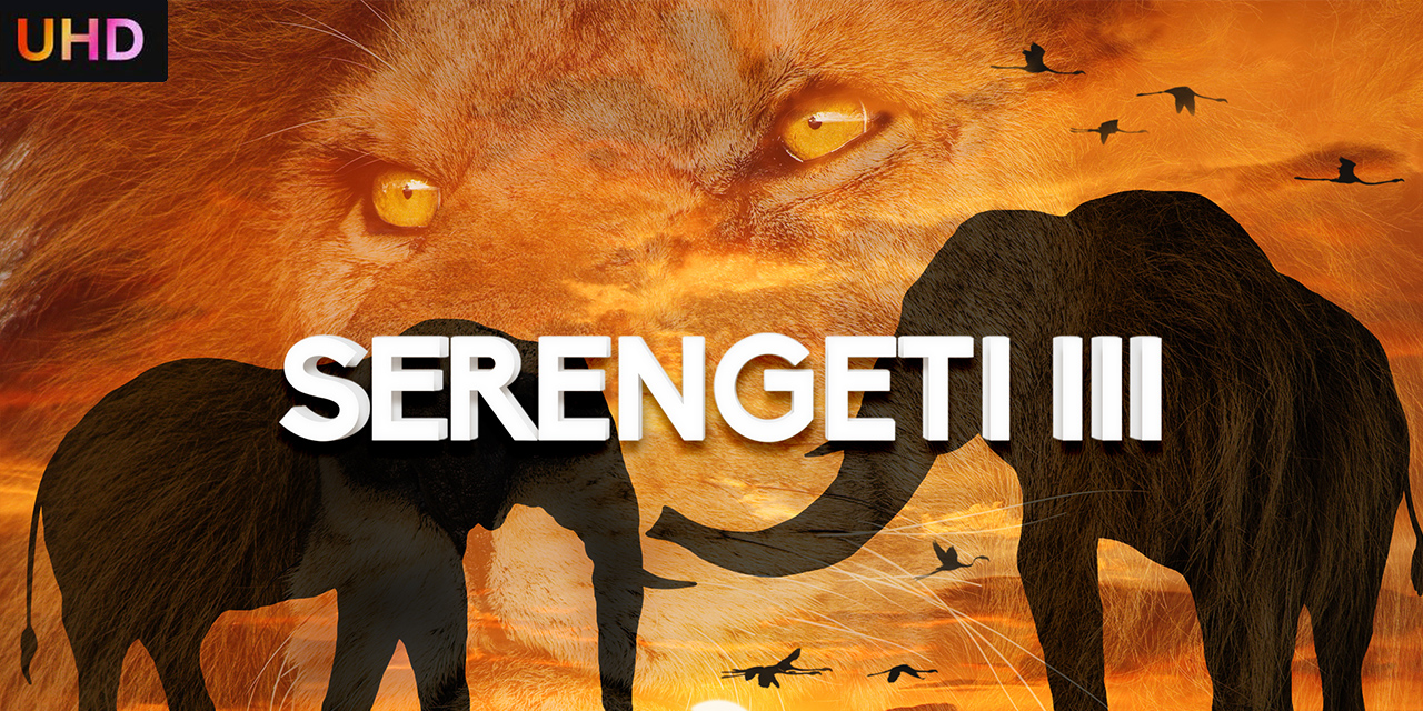 BBC: Can I get a Cold Weather Payment? | New trailer: The Gold starring ...