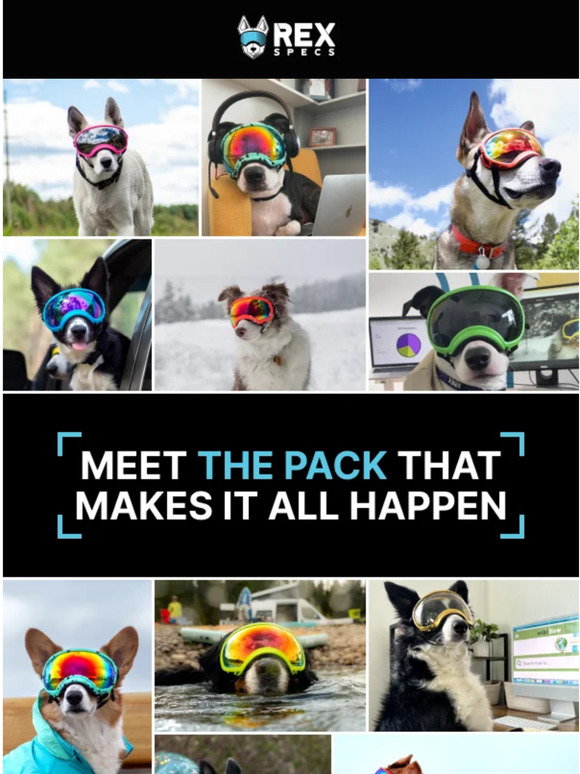 Rex Specs: Meet The Dogs That Grease The Wheels | Milled