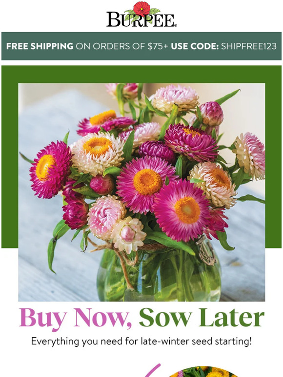 Burpee: Flowers are right around the corner | Milled