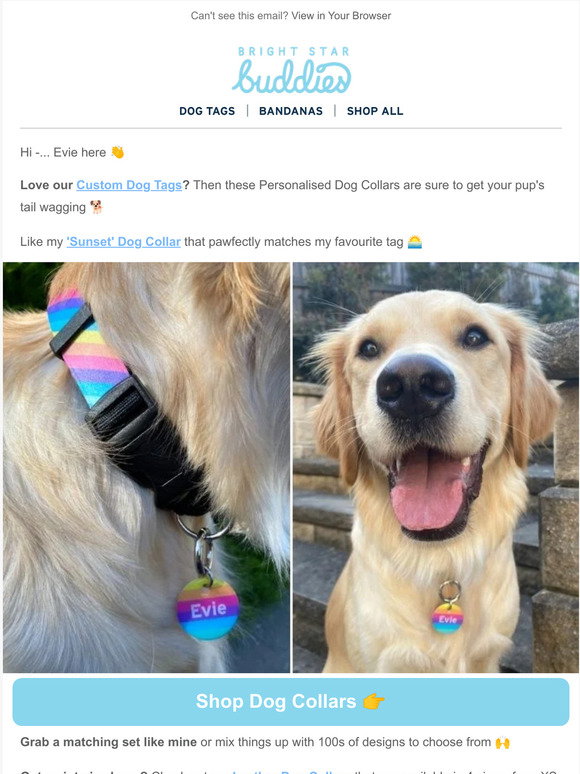 Bright Star Buddies: The Cutest Collars for the Cutest Pups 😍 | Milled