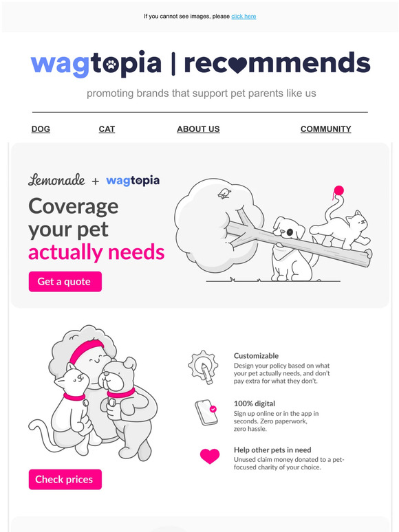 Wagtopia: Open Enrollment is Here | Milled