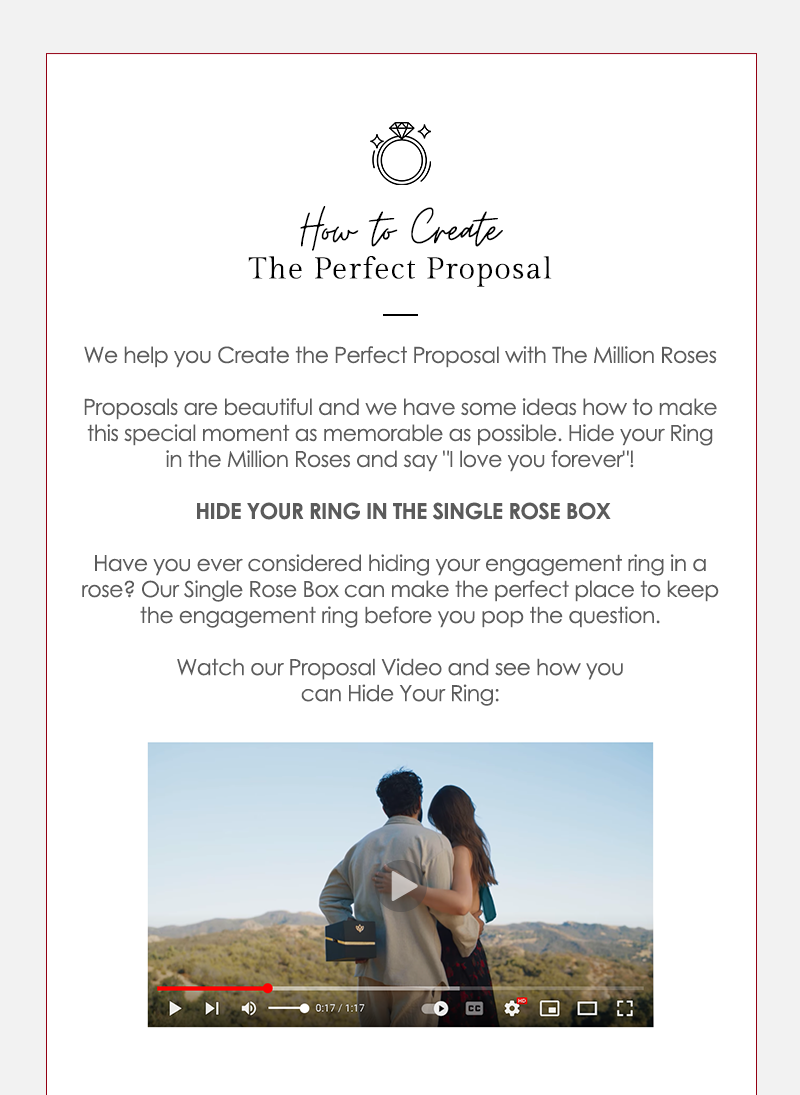 The Million Roses: Create a Romantic Valentine's Day Proposal 💐 | Milled