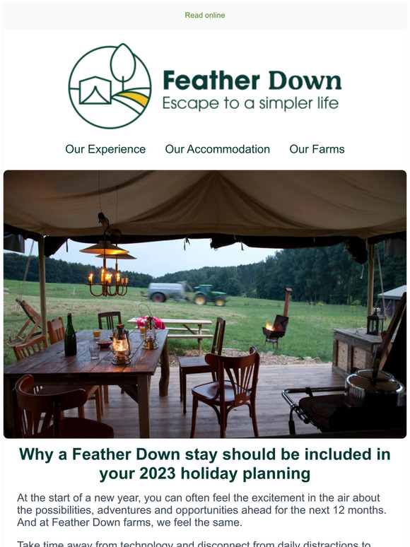 Feather Down: Fortnightly Feathers - Easter bookings and why stay at ...
