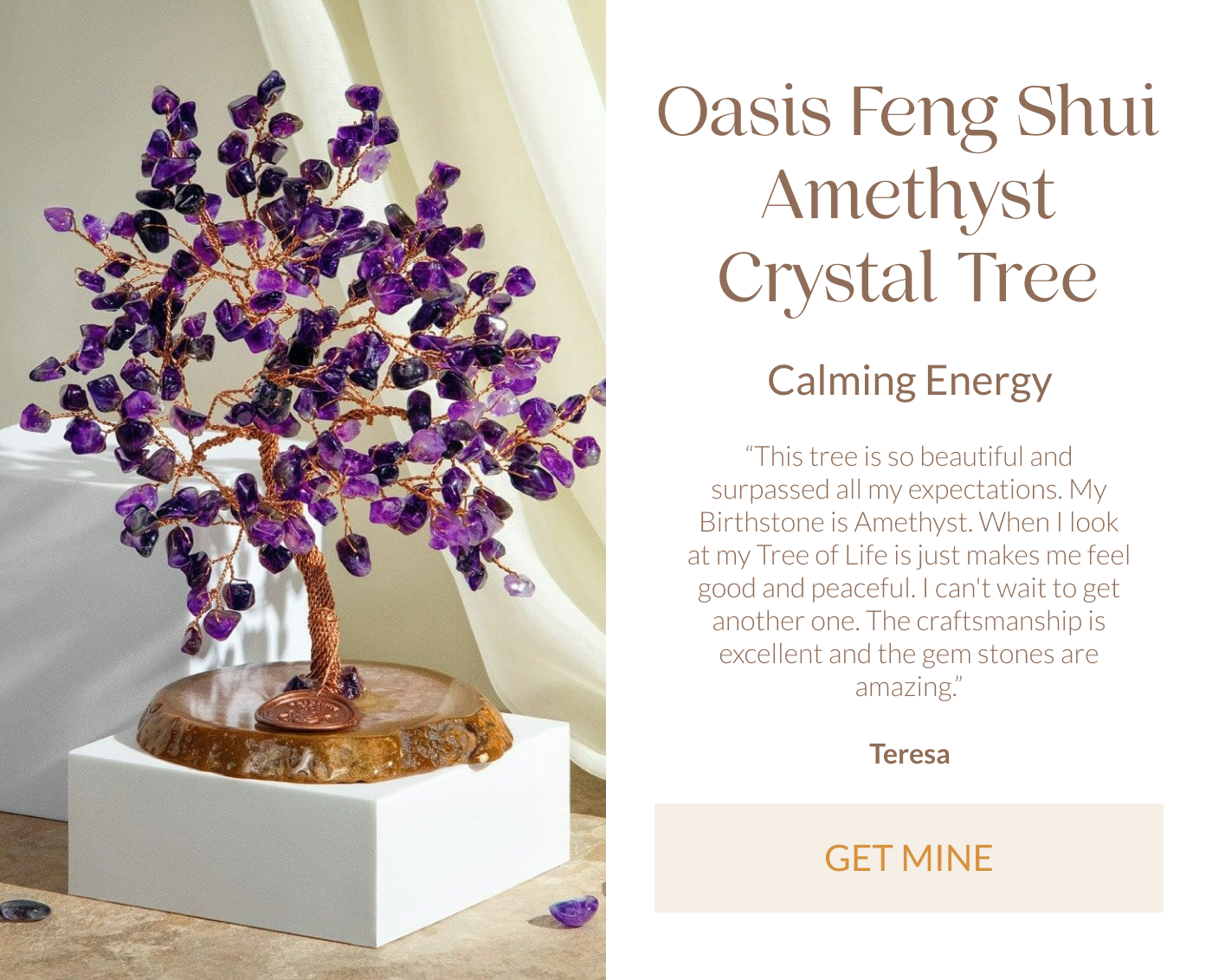 Karma and Luck: Feng Shui Trees You Cherish the Most! 😍 | Milled