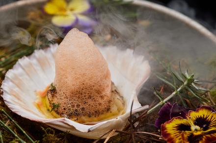 Scoopon: Sydney: nel. 11-Course Australian Native Set Menu For Two w ...