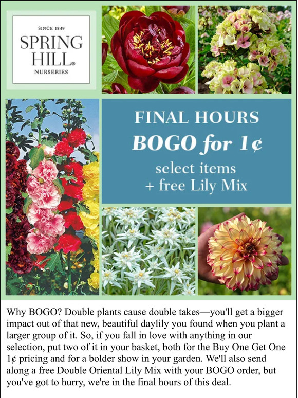 Spring Hill Nursery: Better BOGO before it’s gone... | Milled