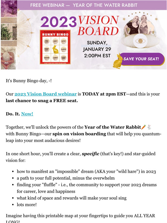 AstroTwins: 🔥Today! Free Bunny Bingo "Vision Board" webinar🐇 | Milled