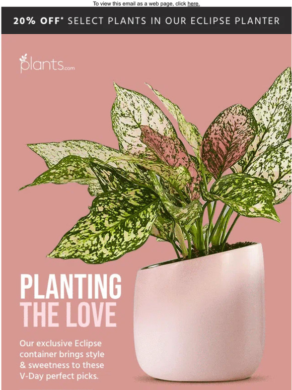 Plants.com: Countdown to V-Day | Milled